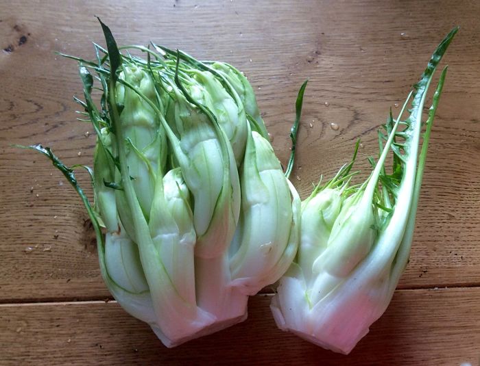 Puntarelle in insalata (Puntarelle salad from Rome) – Italian home cooking